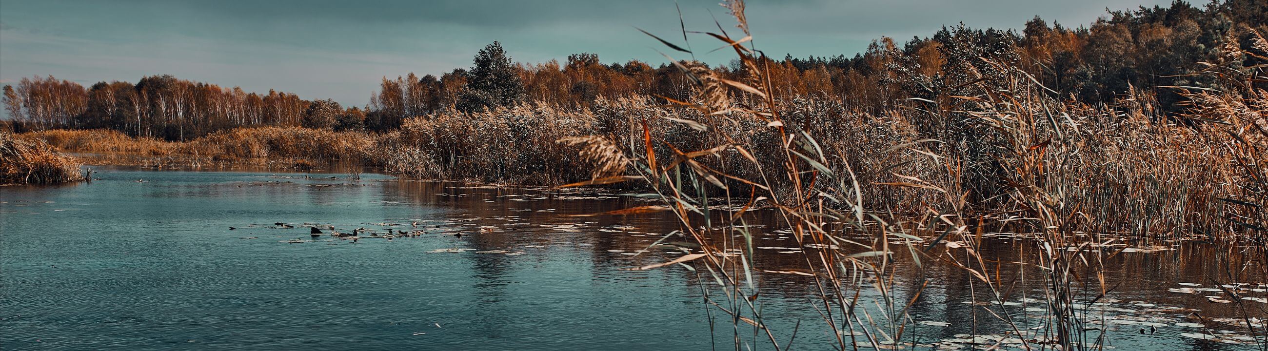 Haken-Systeme » Zubehör für Hechtangler