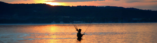 Angelruten » Große Auswahl an Top-Ruten für Angler!