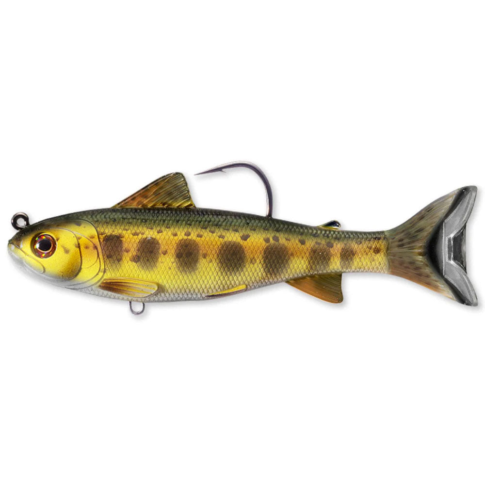 Live Target Trout (Parr) Swimbait » HechtundBarsch.ch